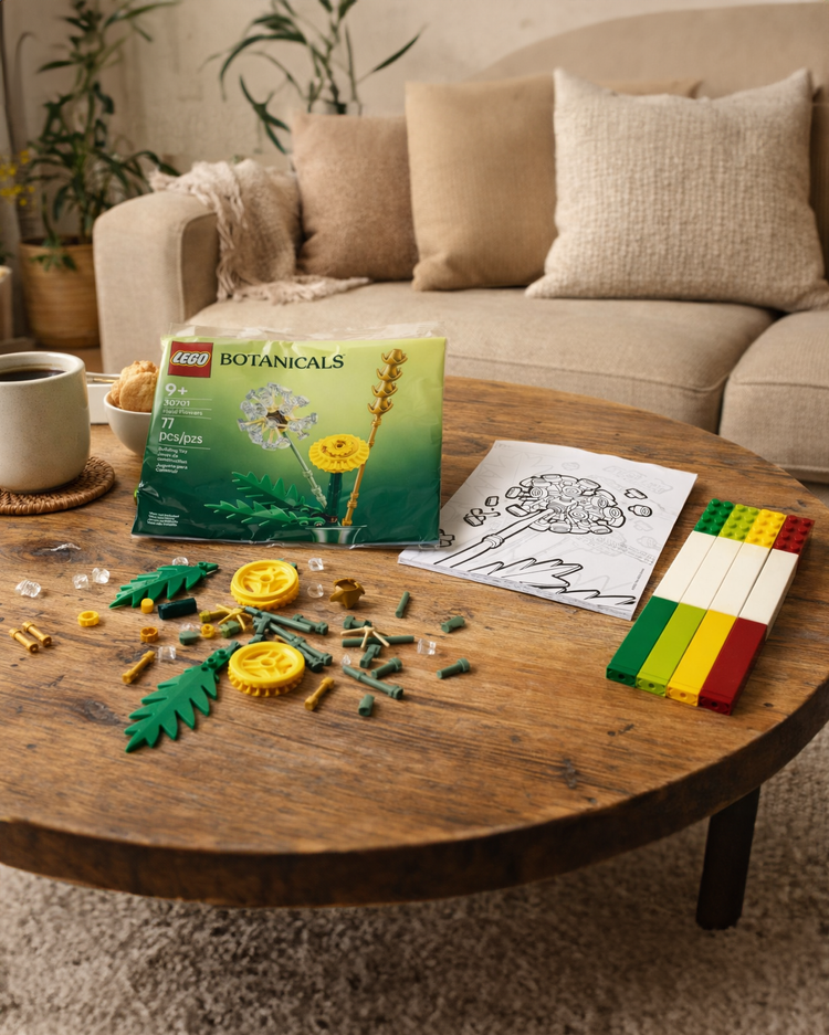 Santoki: Official Distributor of LEGO Licensed Products